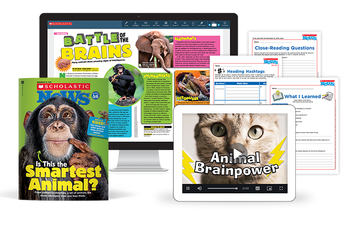 Scholastic Teaching Hub